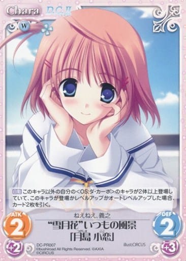 DC-PR007 [PR] : "Setsugetsuka" (Snow, Moon, and Flowers) usual scene ...