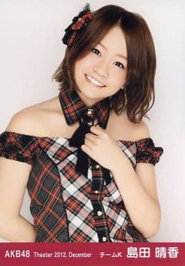 Official photo (AKB48, SKE48) / idol / AKB48 Haruka Shimada / Upper Body / Theater Trading ...