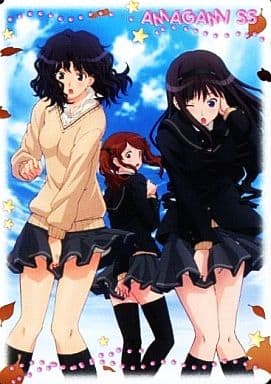 Present 01 : Amagami SS | Toy Hobby | Suruga-ya.com