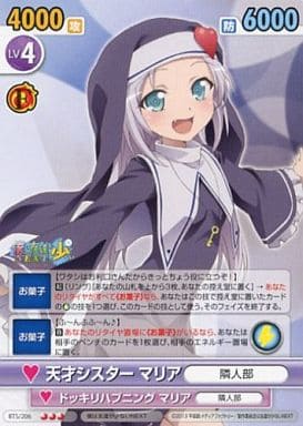 BTS/206 [R] : Genius Sister Mary | Toy Hobby | Suruga-ya.com
