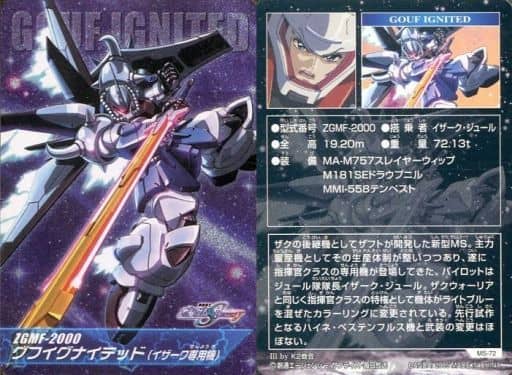 MS-72 [HoloCard] : ZGMF-X2000 グフイグナイテッド (Izak Aircraft) | Toy Hobby ...