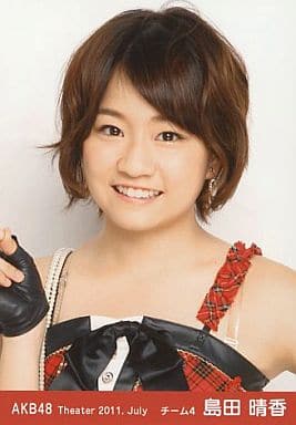 Official photo (AKB48, SKE48) / idol / AKB48 AKB48 / Haruka Shimada / Bust Up / Theater Trading ...