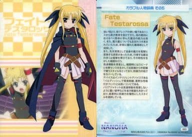 005 [NORMAL] : Fate Testarossa / Biographical Dictionary 05 | Toy Hobby ...
