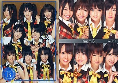 Idol (AKB48, SKE48) / AKB48 Official Trading Card vol. 1 sr-113 : teamB ...