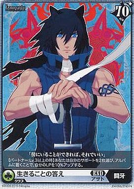 Alice Cross / END / Character Actor / 「 Lamento-BEYOND THE VOID - J04 ...