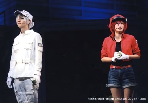 Official photo (male) / actor Masanari Wada (white blood cells (neutrophils)), Kanon Nanaki (red ...