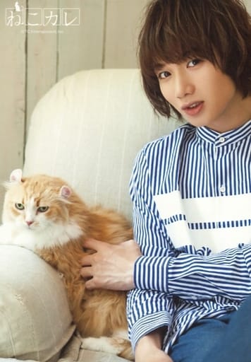 Official photo (male) / actor Keisuke Ueda / Upper Body / Costume Blue / Sofa Sitting / Face ...