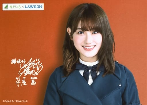 Official photo (Nogizaka46) / idol / Keyakizaka46 Akane Moriya / Print ...