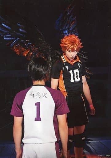 Official photo (male) / actor Kenta Suga (HINATA SHOYO), Kenshi ARITA ...