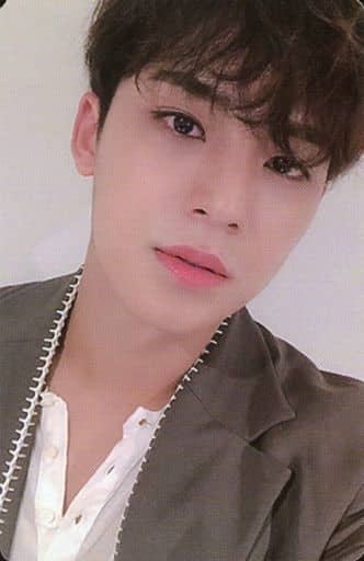 Seventeen / MINGYU / Mingyu) / Bust Up, Costume Grey, Both Hands Down ...