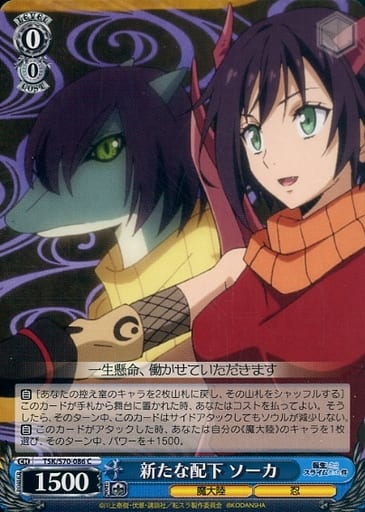 TSK/S70-086 [C] : New Subordinate Socca | Toy Hobby | Suruga-ya.com