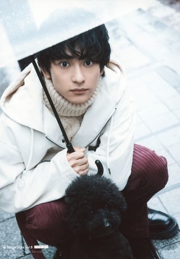 Official photo (male) / actor Shohei Hashimoto / TYPE-A-1 / Magazines ...