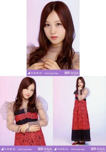 Minami Hoshino / 2020 Grab bag Lucky Bag 3 types complete set | Goods ...