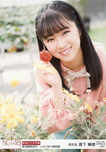 07913 : Hanaho MASHITA / 「 Niigata City, Niigata Prefecture / strawberry picking Orchard ...