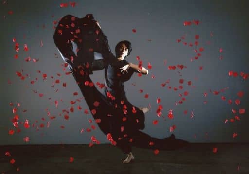 Official photo (male) / actor Hiroki Suzuki / Horizontal Type, Whole Body, Costume Black, Coat ...