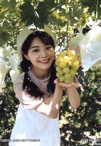 Official photo (AKB48 / SKE48) / idol / NGT48 Hinata Honma / Upper Body / NGT48 Member Produced ...