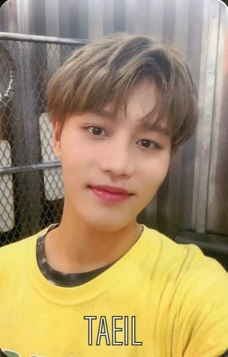 NCT 127 / Tail (TAEIL) / CDs "Japan 2nd Mini ALBUM LOVEHOLIC (limited ...