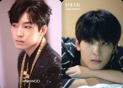 Collection Card (Male) / [Ficon vol. 3 Seventeen Photo Collection ...