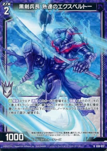 ZECS / R / Vol. 36 『 Pole Transcending Evolution 』 B36-037 [R ...