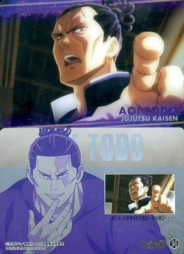 Anime Torayca / Sorcery Fight Metal Card Collection 14 : Aoi TODO | Toy ...
