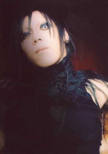 D'espairsRay/HIZUMI / Official Official photo | Goods / Accessories ...