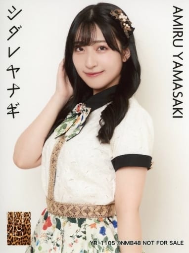 Ami Yamazaki Ru / YR-1105/CD "weeping willow" Regular Edition (Types A ...