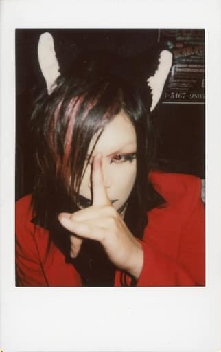 Official photo (Male) / visual kei band / DEVIL KITTY DEVIL KITTY / Elegant / Fresh cheki ...