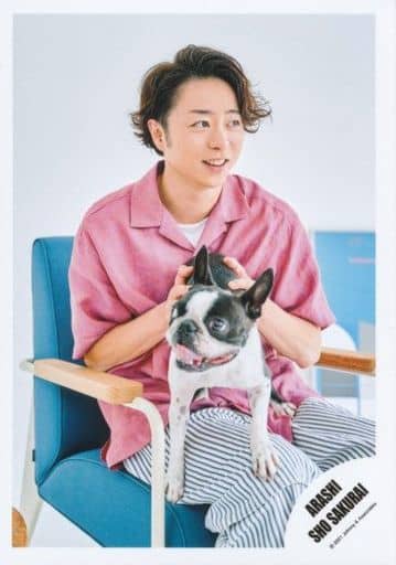 Arashi / Sho Sakurai / Knee-Up / Sho Sakurai photo off-shot / Official ...