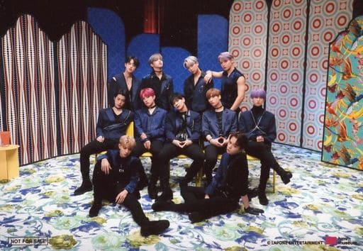 Official photo (Male) / idol / JO1 JO1 / Set (11 people) / CD "PROTOSTAR" hmv JO1 museum ...