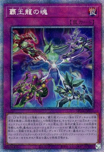 HC01-JP037 [PSE] : Haou Spirit of the Dragon | Toy Hobby | Suruga-ya.com