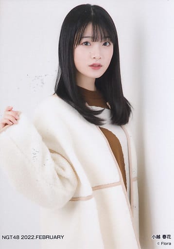 Kogoshi Shunka / Koshigohan / NGT48 February 2022 net shop only individual Official photo Vol. 1 ...