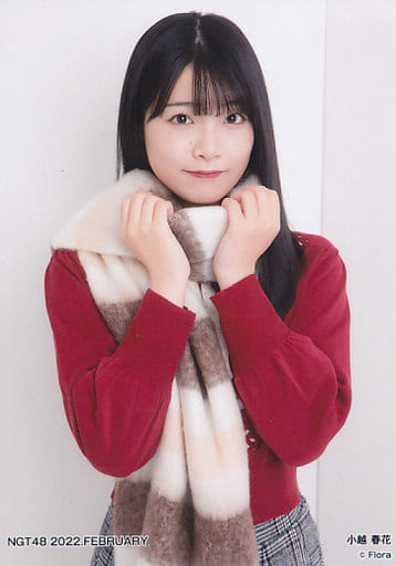 Official photo (AKB48 / SKE48) / idol / NGT48 Kogoshi Shunka / Koshigohan / NGT48 February 2022 ...