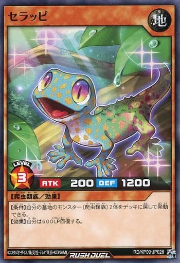RD/KP09-JP026 [N] : セラッピ | Toy Hobby | Suruga-ya.com