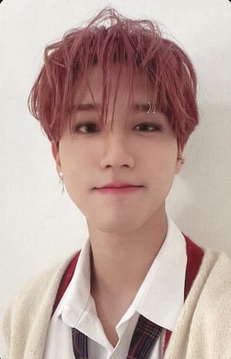 Stray Kids/HAN / Back Fun / CD "Christmas Eve" Reservation Special ...