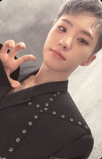 Seventeen / HOSHI / Back Side Grey / CD "Face the Sun" (ep. 2 Shadow ...