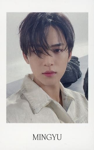Collection Card (Male) / CD "Face the Sun" (regular edition) Seventeen ...