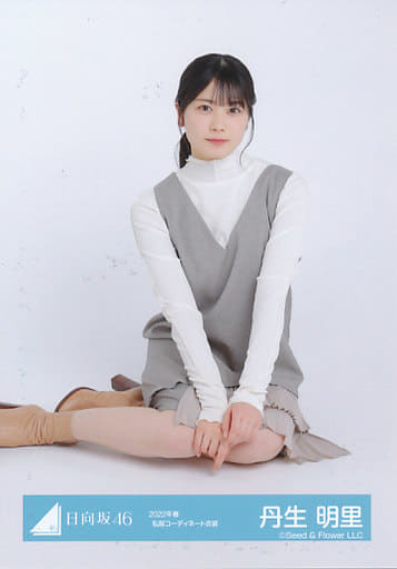 Akari Nibu / Sitting / Hinatazaka46 Random Official photo [Spring 2022 Dress for Private ...