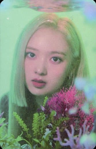 Collection Card Female Cd 2 Nd Mini Album Cherry Wish Fasciate