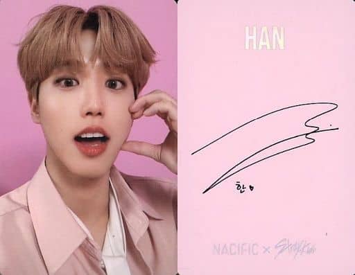 Collection Card (Male) / "NACIFIC×Stray Kids" Purchase benefits Photo ...