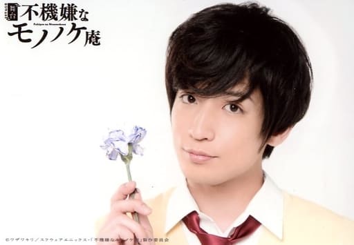 Official photo (male) / actor Sho Jinnai (Hanae Ashiya) / Yokozuna ...