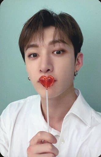 Stray Kids/Bang Chan / CDs "MAXIDENT" My Music Taste special photo card ...