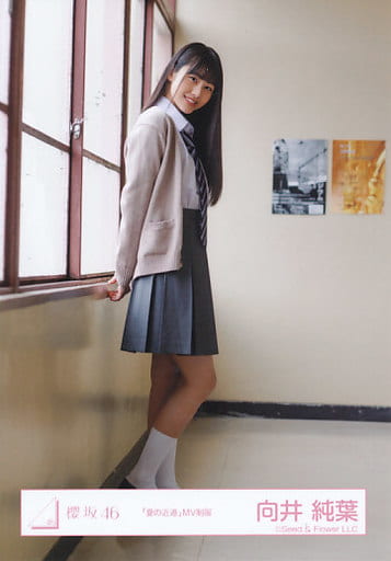 Official photo (Nogizaka46) / idol / Sakurazaka 46 Mukai 純葉 / whole ...