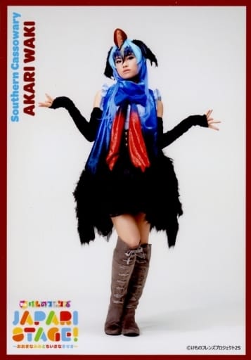 Akari Waki (Red Pheasant) / Whole Body / Character Chief shot / Stage ...