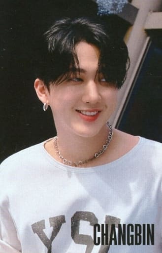 Stray Kids/Changbin / CDs "MAXIDENT" Tower Record special photo card ...