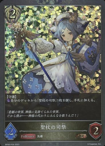 Shadowverse Evolv / BR / Follower / Booster Pack 6th "Absolute Conqueror" BP06-P29 [BR Premium ...