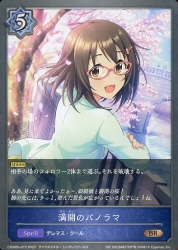 CSD02b-015 [BR] : Full Panorama | Toy Hobby | Suruga-ya.com