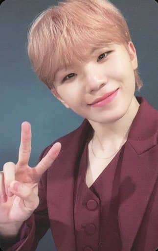 コレクションカード(男性)/｢2021 SVT 5TH FAN MEETING〈SEVENTEEN in CARAT LAND〉MEMORY ...