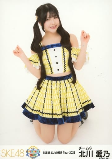 Yoshino Kitagawa / Seated / "SKE48 Summer tour 2023" Random Official photo (Team S) | Goods ...