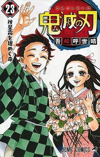 Limited edition comic Limited 23) Demon Slayer: Kimetsu no Yaiba ...