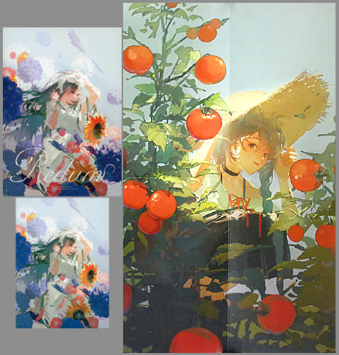 Original [3-Piece Set] Redum Chinese Version / REDUM | Doujin | Suruga ...
